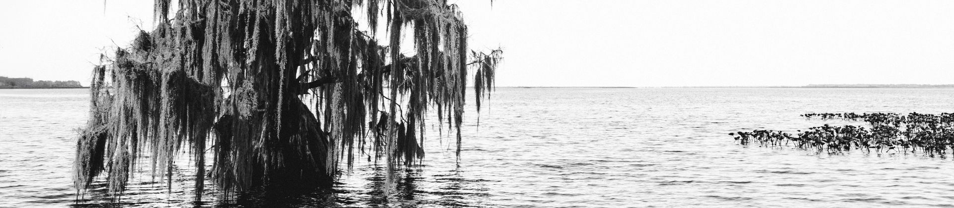 Welaka - Douglas Law Firm