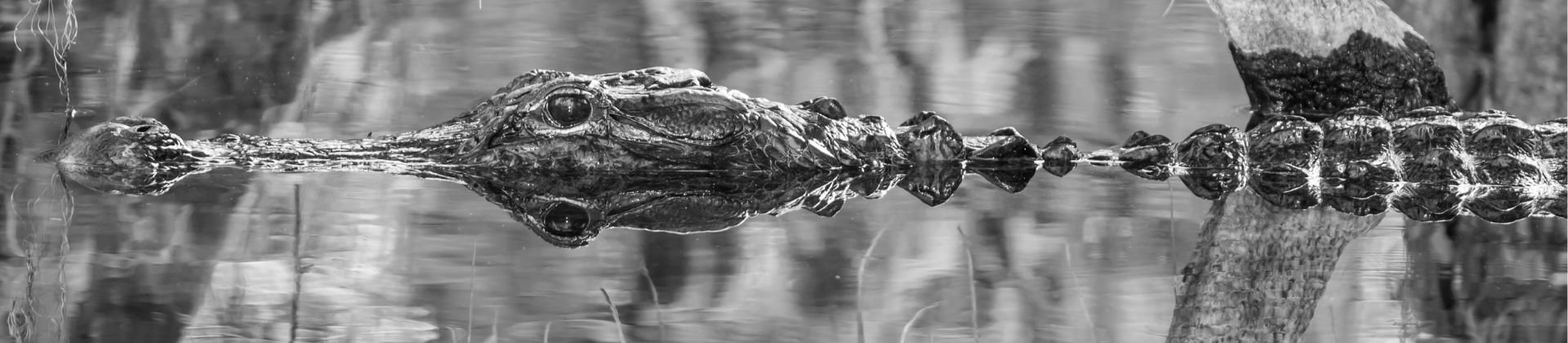 Gainesville (By Appointment Only) - Douglas Law Firm