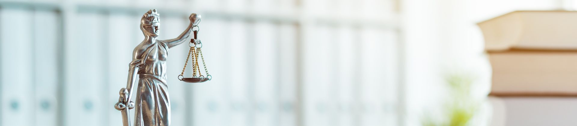 Government Law | Douglas Law Firm